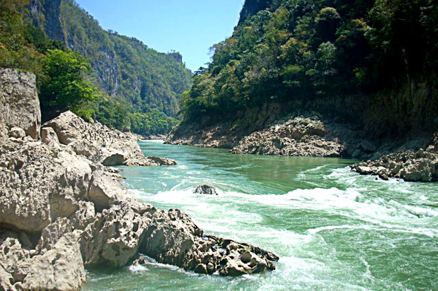 REGIONAL PLANICIE COSTERA Y GOLFO DE MEXICO:::CONANP